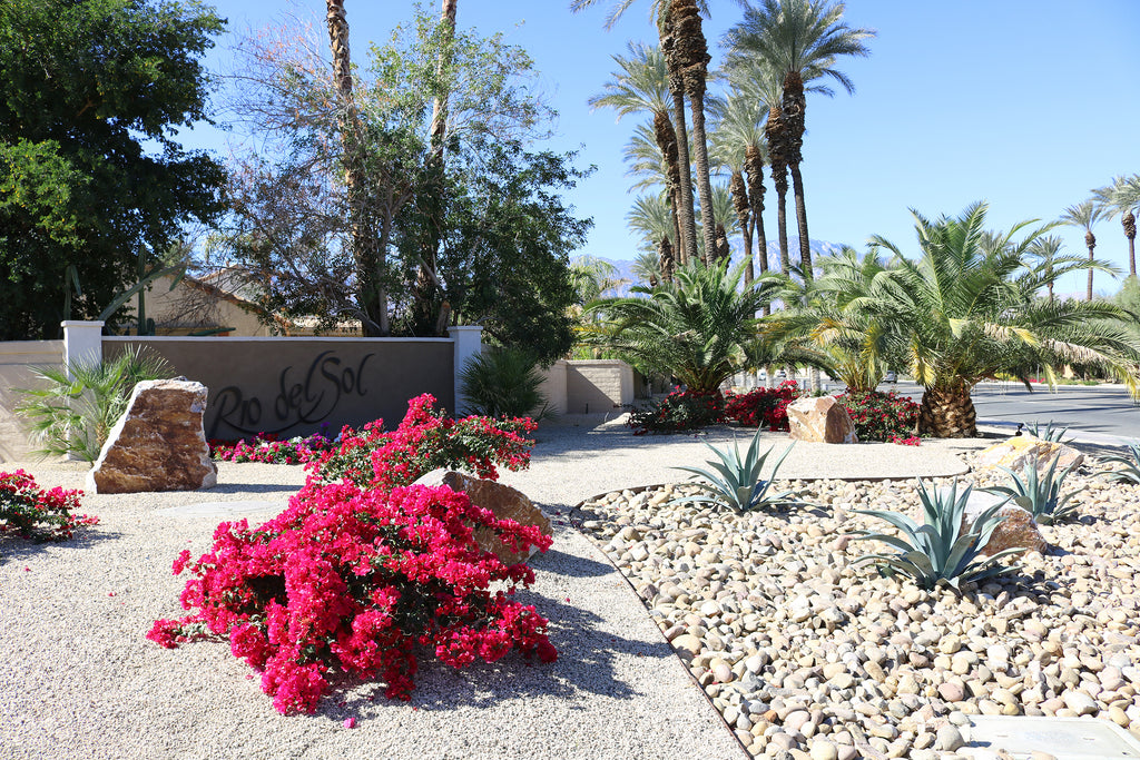 HOA – Leon's Landscaping & Tree Service, Inc.