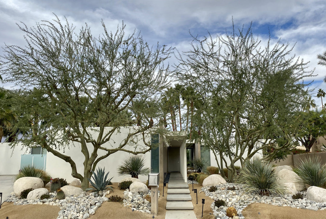 Services – Leon's Landscaping & Tree Service, Inc.